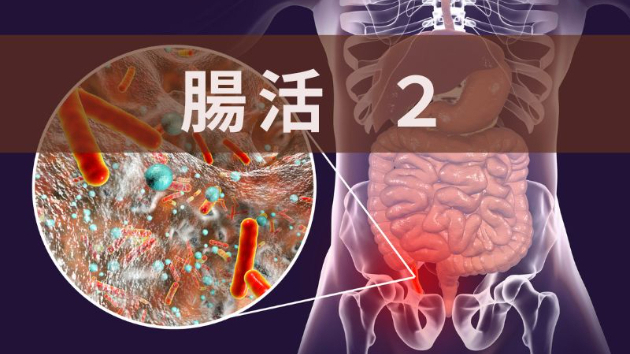 腸活2｜N＋WEB＋Design｜coconalaブログ