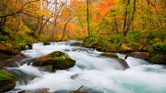 格言｜占い師 導春｜coconalaブログ