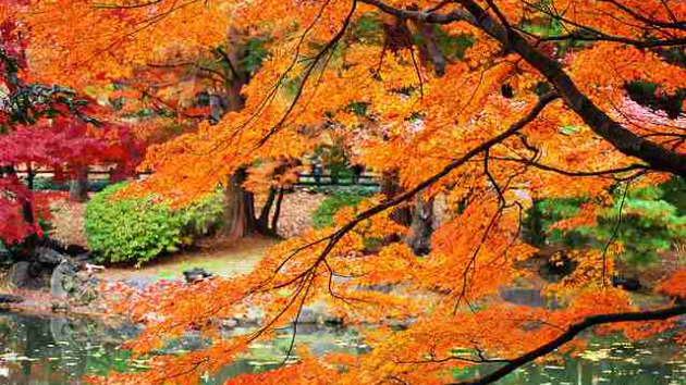 格言｜占い師 導春｜coconalaブログ