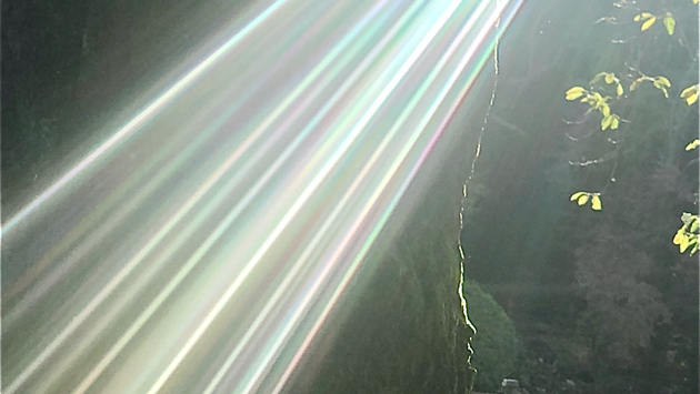 眠っているもの、使いきれていない力の開花｜kan 369｜coconalaブログ