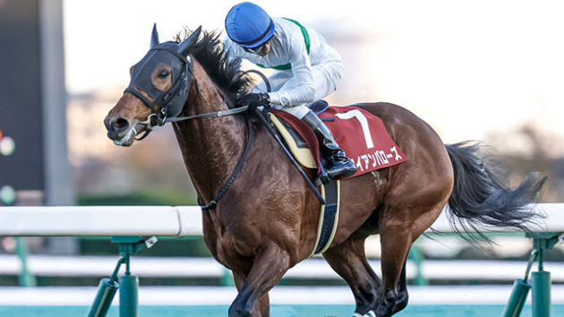 ステイヤーズS(G2) [重賞最終見解]｜血統マニアの独り言｜coconalaブログ