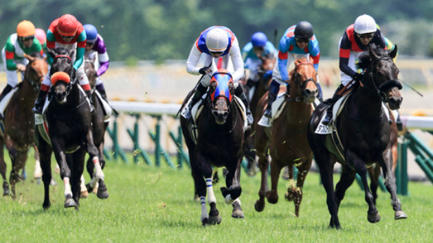 Flowrace｜田中旭のIHR副業で今のところかなりプラス｜flowraceman｜coconalaブログ