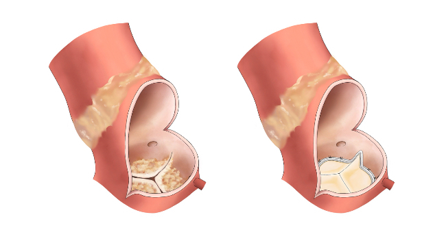 Yui Tashimaブログ一覧｜coconalaブログ