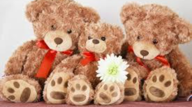 ペット飼育可の部屋探し～ペットはどこまで飼ってよい？基準って！？～｜poncha0729｜coconalaブログ