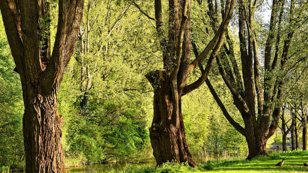 会社の人間関係を保つたった4つのこと｜光の仕事人＠SACHIKO｜coconalaブログ