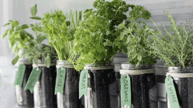 507.野菜をおいしく食べるために今日からできる簡単な調理法2/10｜RemoteViewer導与 ｜coconalaブログ