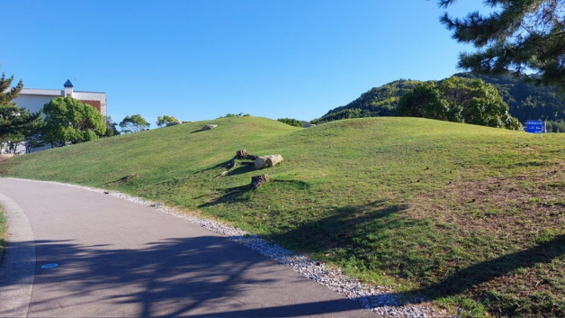 夜の数学王ブログ一覧(2ページ目)｜coconalaブログ