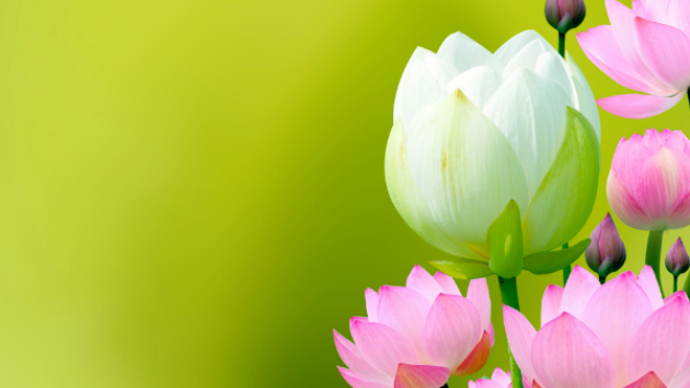 エネルギーの変わり目｜かすみ♡KASUMI｜coconalaブログ