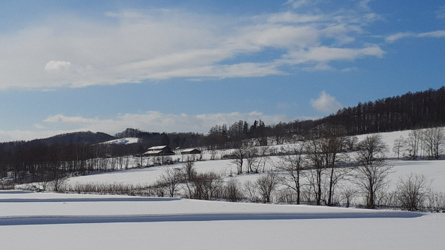 女性の胸に執着する男子の特性とは｜イコ アン｜coconalaブログ