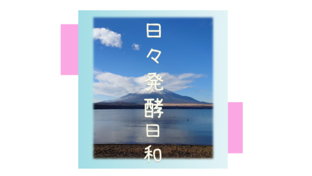 ポーター＃7｜599 KAMOSHIKA｜coconalaブログ