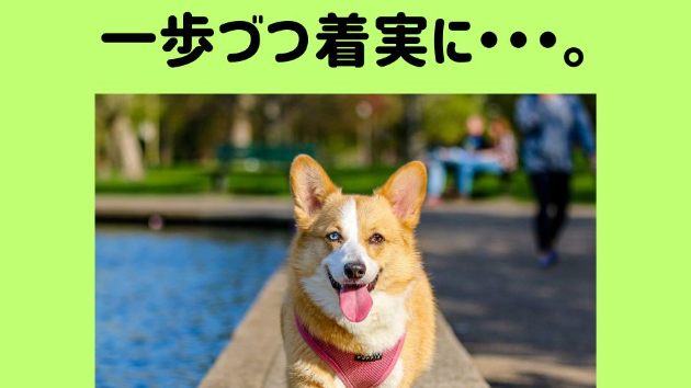 アニマルコミュニケーション6年目の習慣｜証～あかし～【占い師・アニコミ】｜coconalaブログ