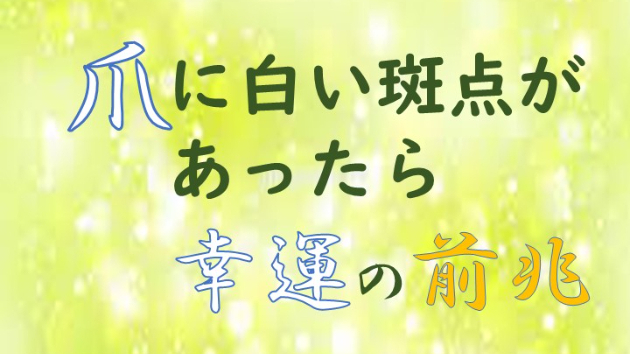 爪に白い斑点があったら幸運の前兆｜majic morment｜coconalaブログ