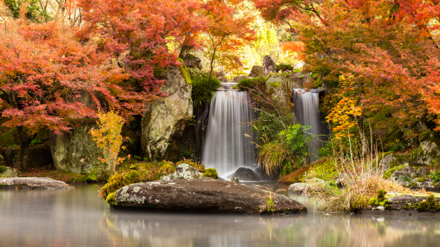 格言｜占い師 導春｜coconalaブログ