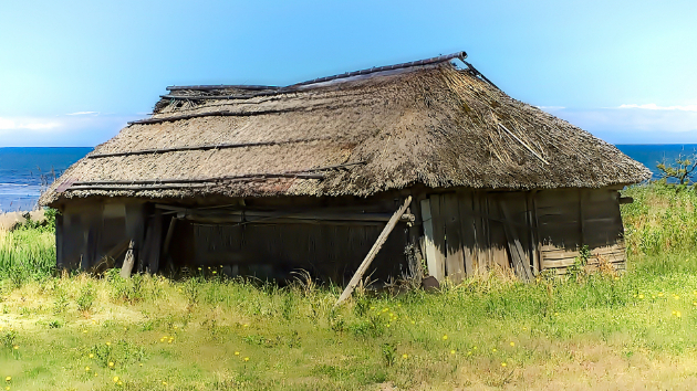 漁師と億万長者｜しみず1001｜coconalaブログ