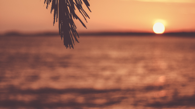 Mike【7月15日までキャンペーン中】ブログ一覧｜coconalaブログ