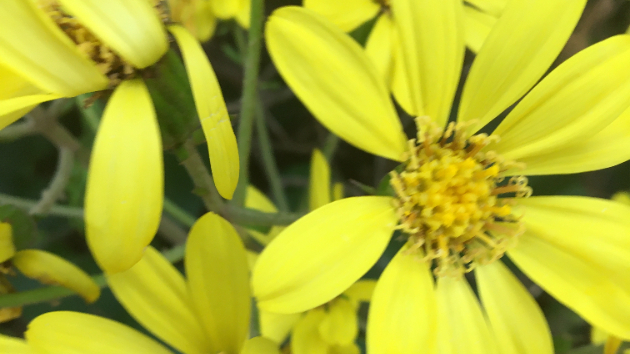 デザイナー・コンセプトを形にす｜ryuan1997｜coconalaブログ