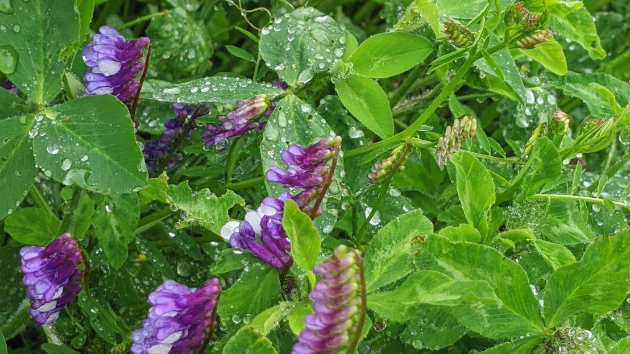 仕事としてのスピリチュアル｜momo_creation｜coconalaブログ