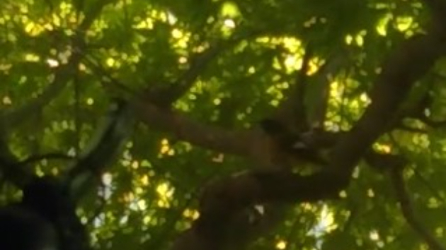 nunenoブログ一覧｜coconalaブログ