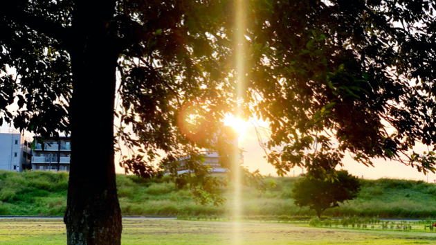 わたしと光の存在たちの話｜kan 369｜coconalaブログ