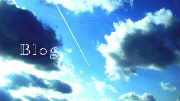 詩音－Shion－＊｜coconalaブログ