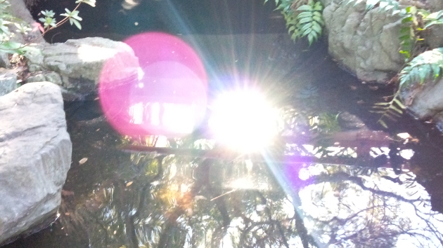 12/22千葉神社参拝と小龍ちゃん達との映画鑑賞｜みや8538｜coconalaブログ