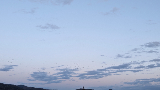 今日の3枚！｜梨花（Rica）｜coconalaブログ