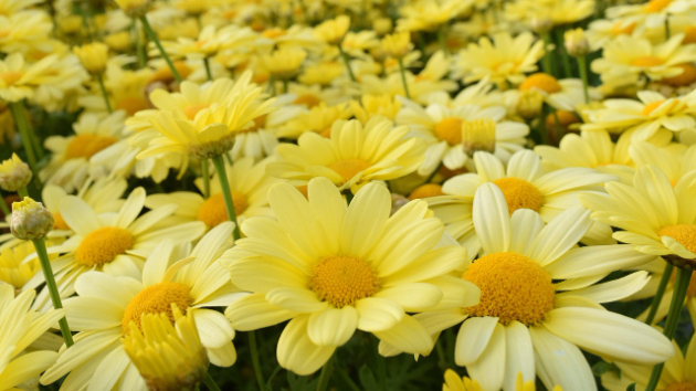 人間関係うまく行かない時、あなたにできる10のこと｜みおり Infinity8 ｜coconalaブログ