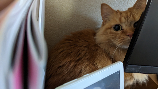 服を選ぶ｜Sachiko Uchiyama｜coconalaブログ