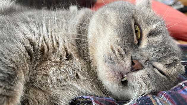 『出来ない自分を すれば 生きやすくなる』自分をダメと責めてしまうあなたへ｜ゆる〜いカウンセラーTAKA｜coconalaブログ