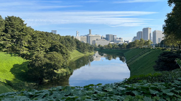 好きのパワー｜素敵な暮らしのアドバイザー｜coconalaブログ