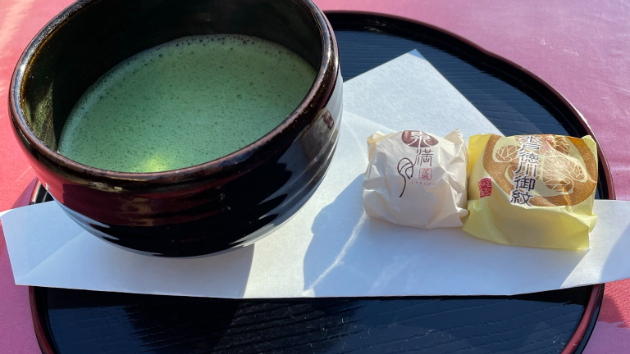 お花見の楽しみ！｜五十嵐 靖博｜coconalaブログ