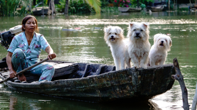 宣伝をするならば金曜日！｜ProjectCO2｜coconalaブログ