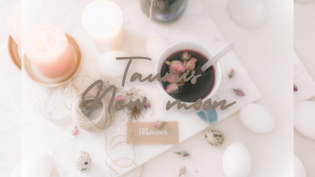 牡牛座新月前にやっておきたいこと｜Blessing Flora｜coconalaブログ