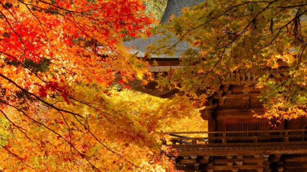 格言｜占い師 導春｜coconalaブログ