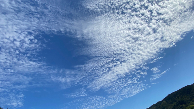 「当たり前」の有難さ｜ misa ｜coconalaブログ