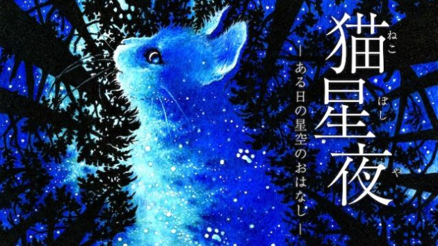 猫好き必見のプラネタリウム「猫星夜」ついに行ってきました♪｜CONA．｜coconalaブログ