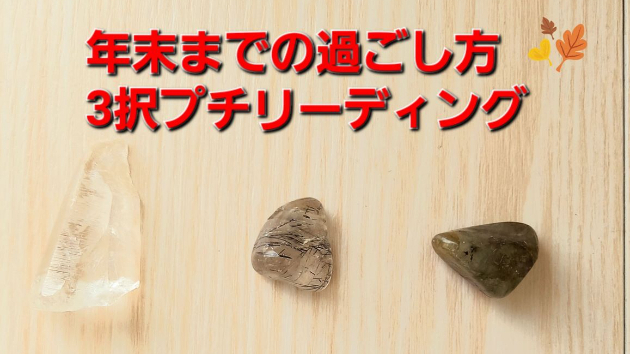 3択プチリーディング（年末までの過ごし方）｜herbraffia｜coconalaブログ