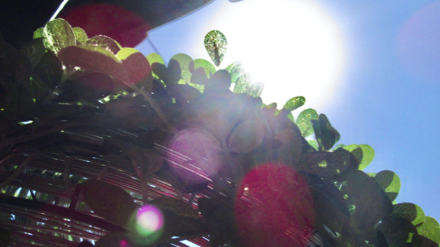 メッセージ｜kan 369｜coconalaブログ