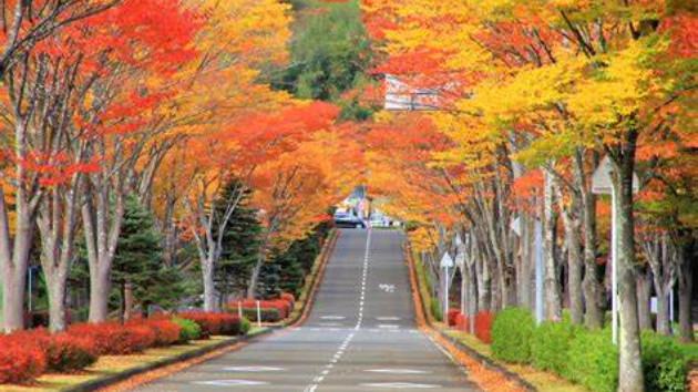 格言｜占い師 導春｜coconalaブログ