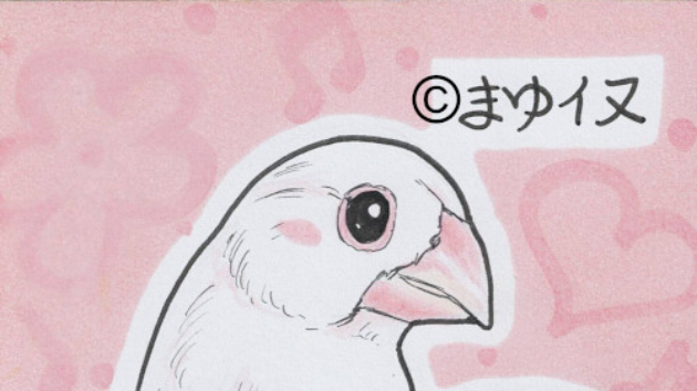 鳥が見ている世界｜ありしりあ｜coconalaブログ