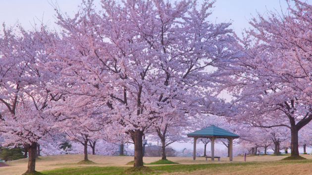 心を映す鏡｜takenokoo｜coconalaブログ