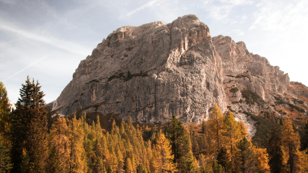 自分と自分ではないものの違いを理解できることでコントロールがうまくなる｜kazaar｜coconalaブログ