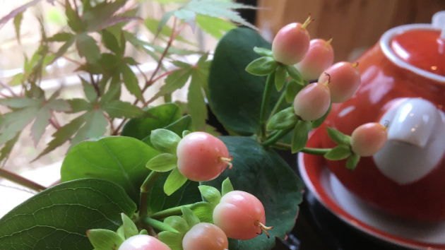 集客を考えよう・・・｜ryuan1997｜coconalaブログ