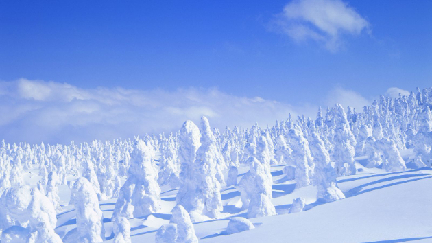 格言｜占い師 導春｜coconalaブログ