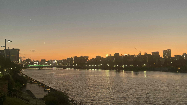 おひとり様が孤独死を防ぐには｜coconaraYoShi｜coconalaブログ