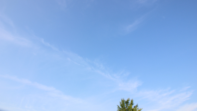 izumi kブログ一覧｜coconalaブログ