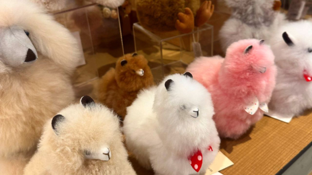 戊戌日｜marina2008｜coconalaブログ