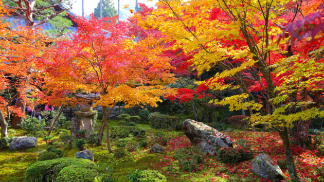 格言｜占い師 導春｜coconalaブログ