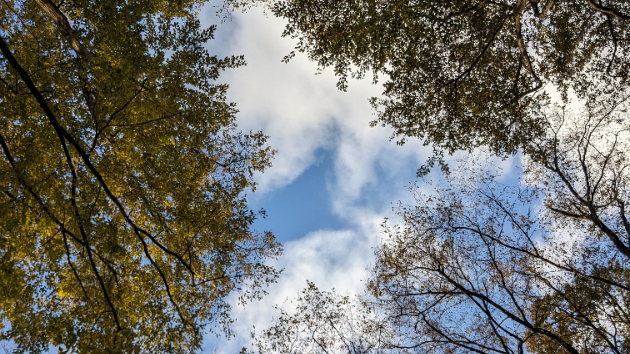 立春｜チラシ・ロゴ制作「YOU design」｜coconalaブログ