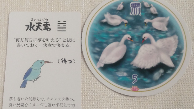 癒しの空間、居場所を提供します｜〇〇の森 blog_hoshi｜coconalaブログ